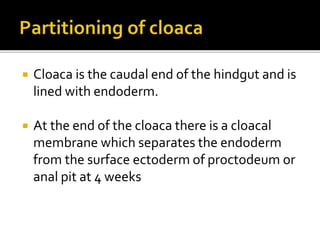 GI presentation embryo | PPT