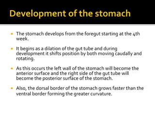 GI presentation embryo | PPT