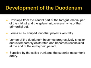 GI presentation embryo | PPT