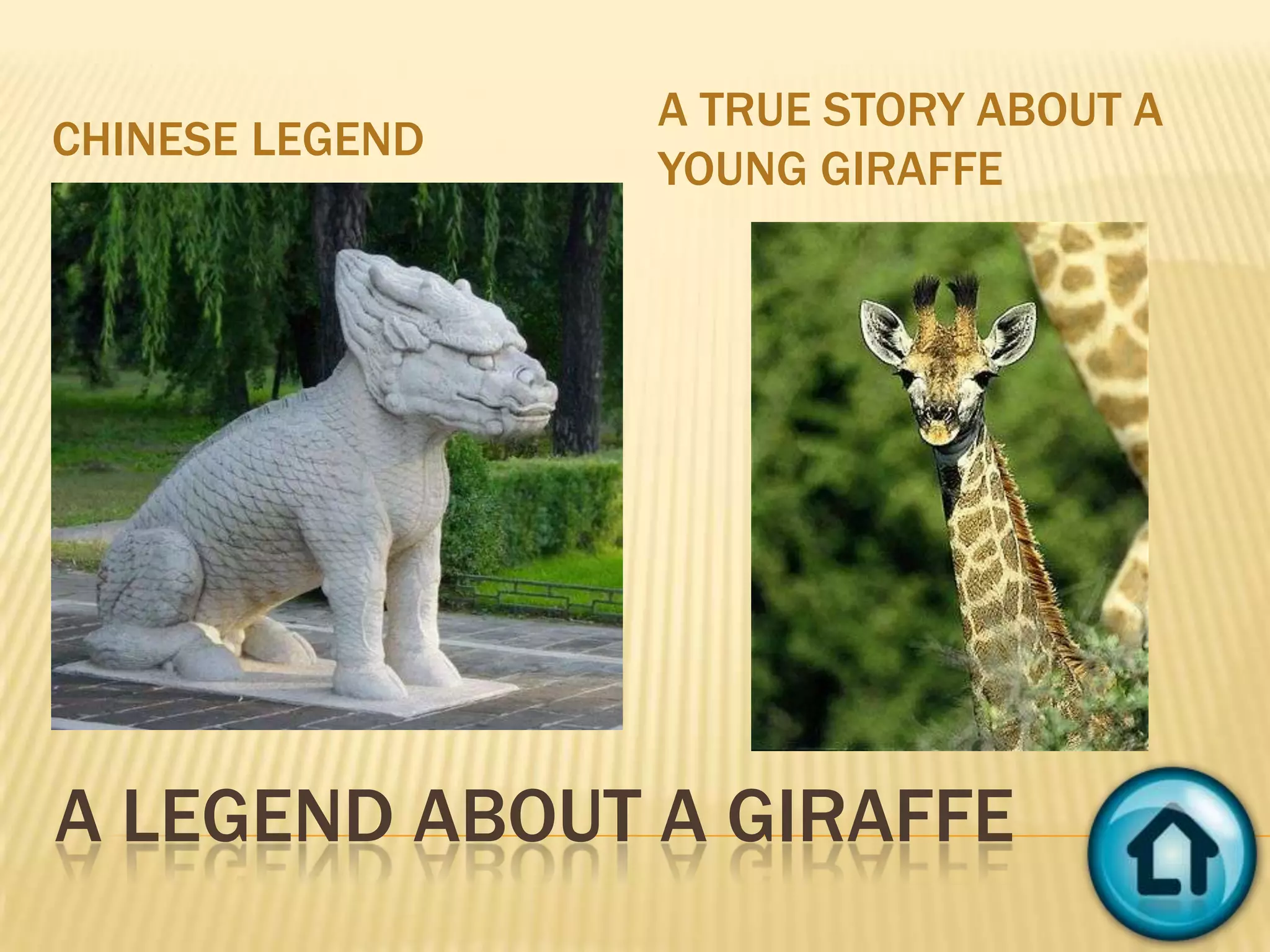 Giraffe | PPTX