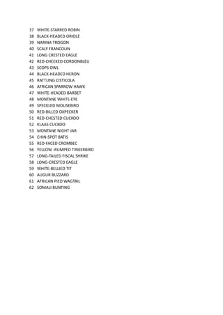 Giraffe Centre Sanctuary Bird Checklist.pdf