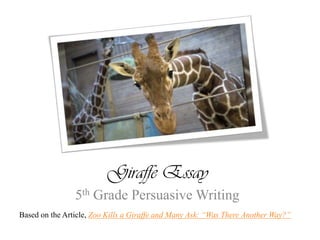 Giraffe essay | PPTX