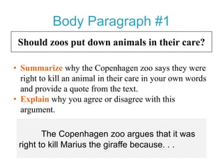 Giraffe essay | PPTX