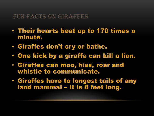 Giraffe expert project power point | PPT