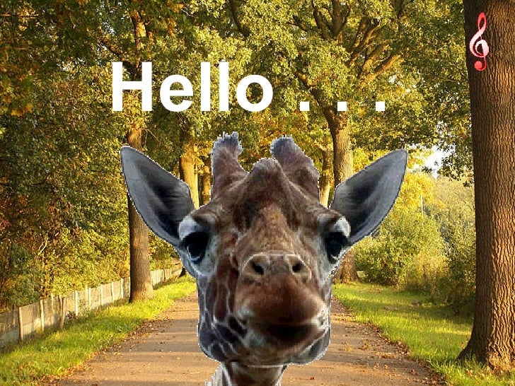 Giraffe Greetings