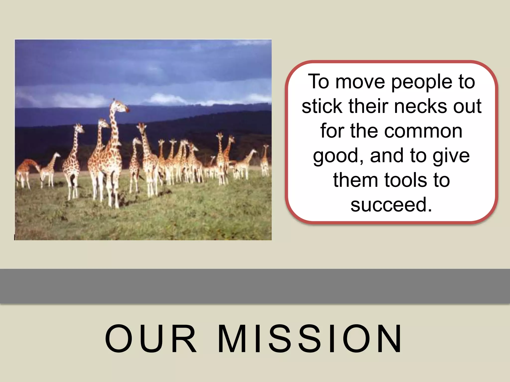 Giraffe Heroes Project Who We Are #StickYourNeckOut | PPT