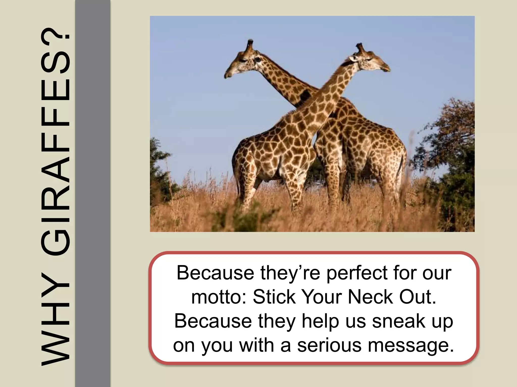 Giraffe Heroes Project Who We Are #StickYourNeckOut | PPT