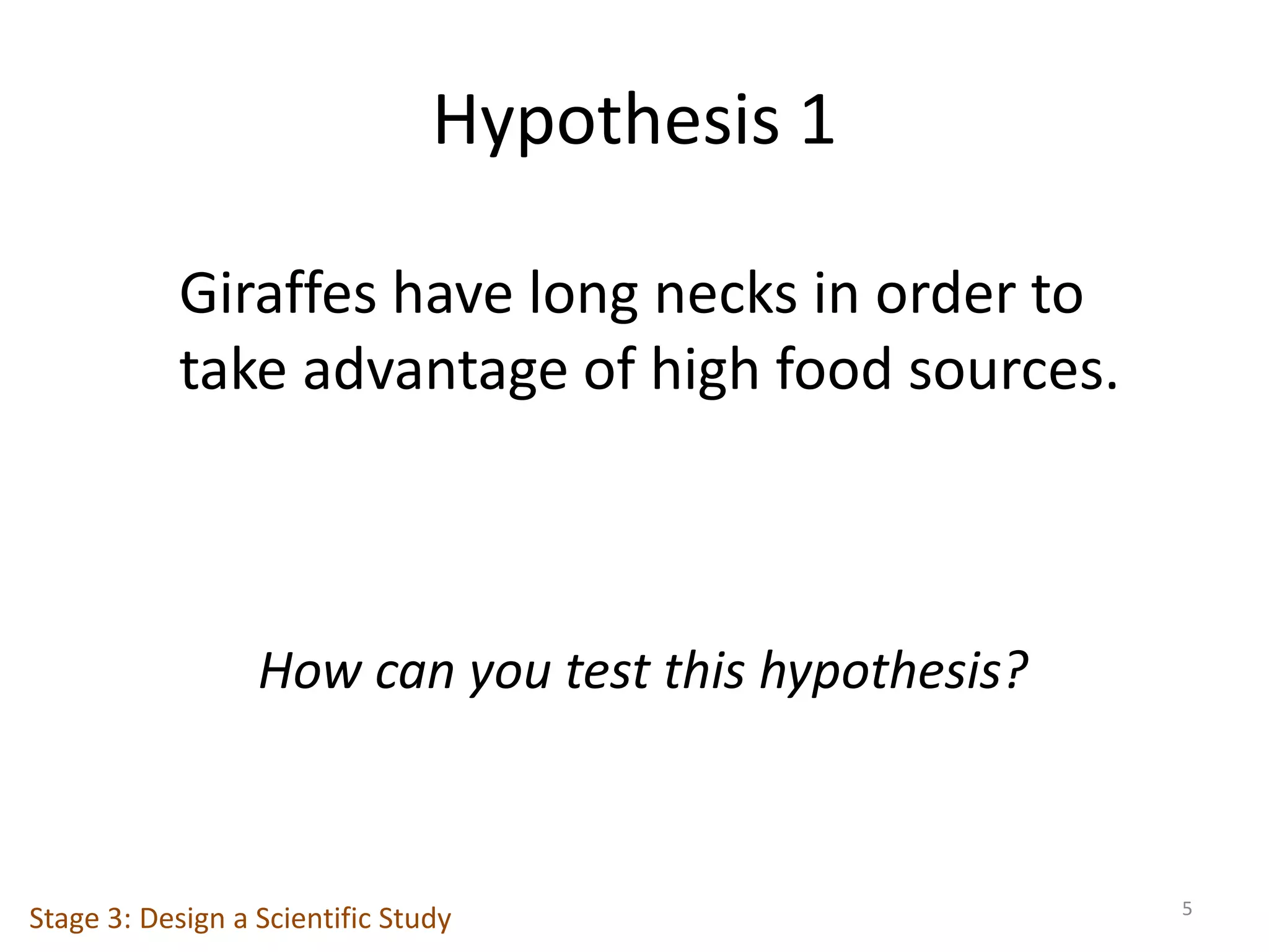 giraffe_neck.pptx