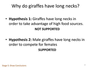 giraffe_neck.pptx