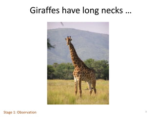 giraffe_neck.pptx | Biological Sciences | Science