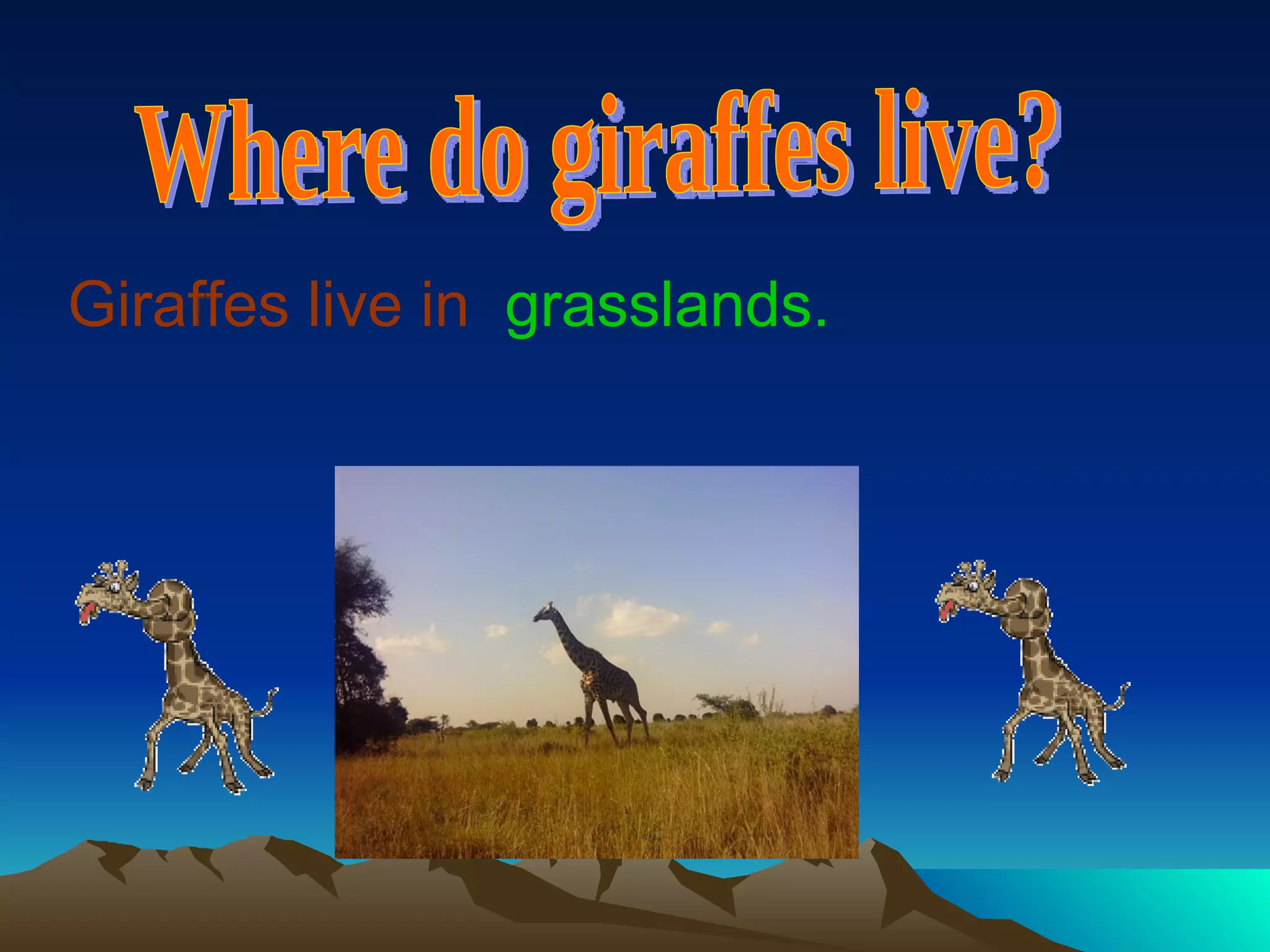 I love giraffes | PPT