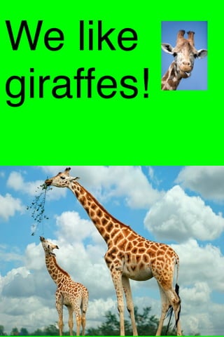 Giraffes | PDF