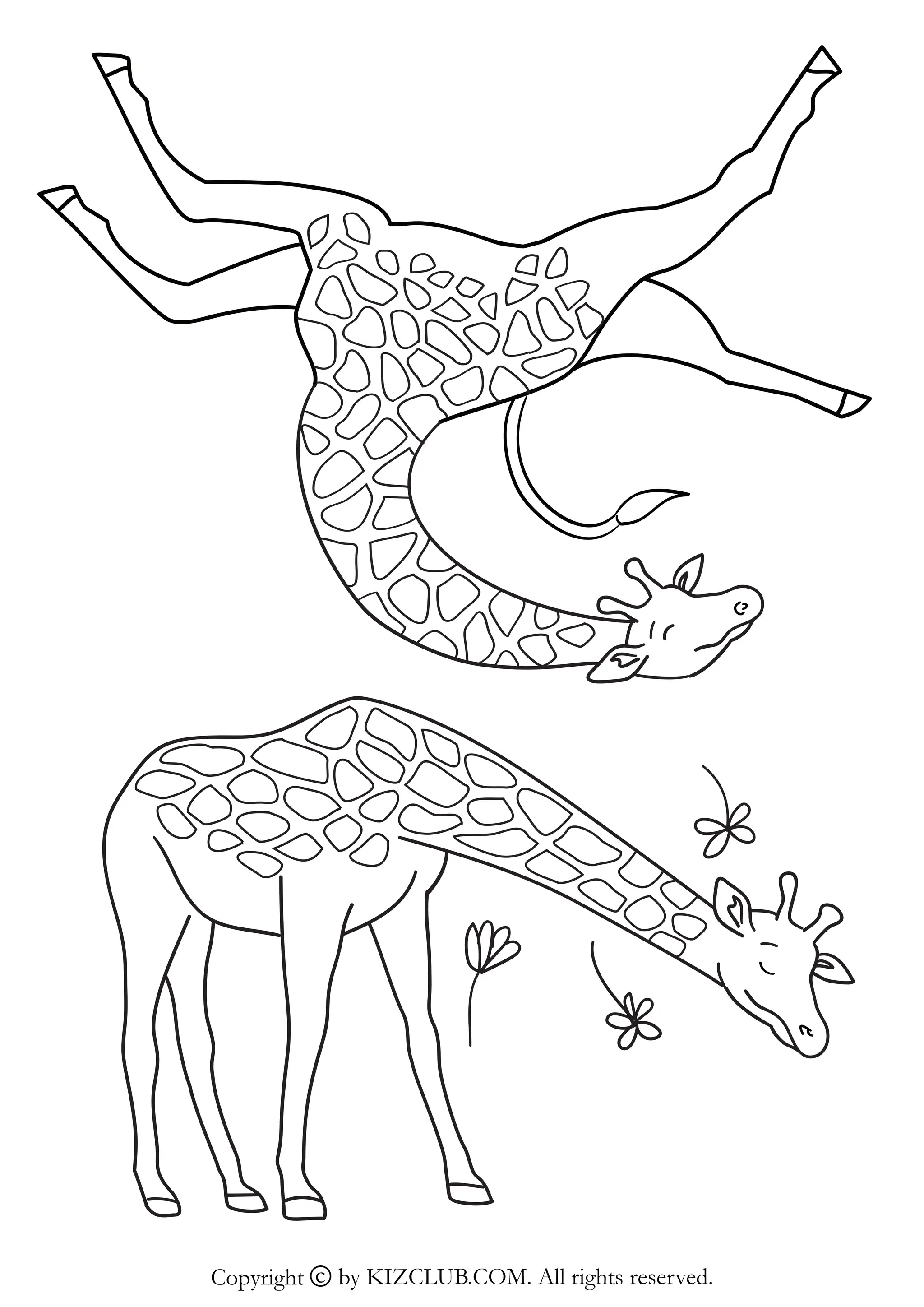 giraffes can't dance prompts for story telling/ crafts | PDF
