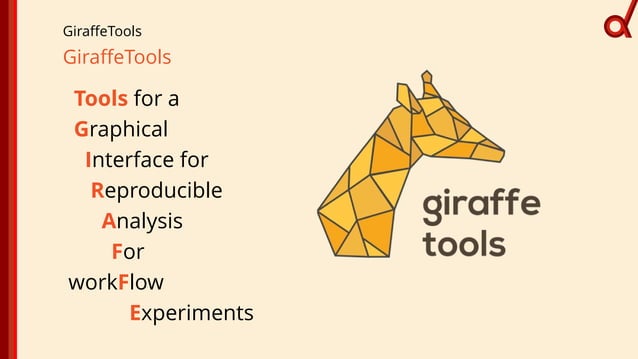 GiraffeTools, Tim van Mourik | PDF