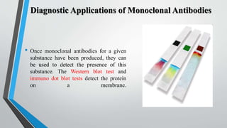 Monoclonal Antibodies | PPTX