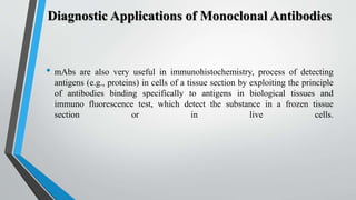 Monoclonal Antibodies | PPTX