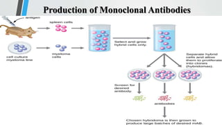 Monoclonal Antibodies | PPTX