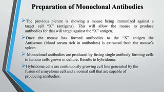 Monoclonal Antibodies | PPTX