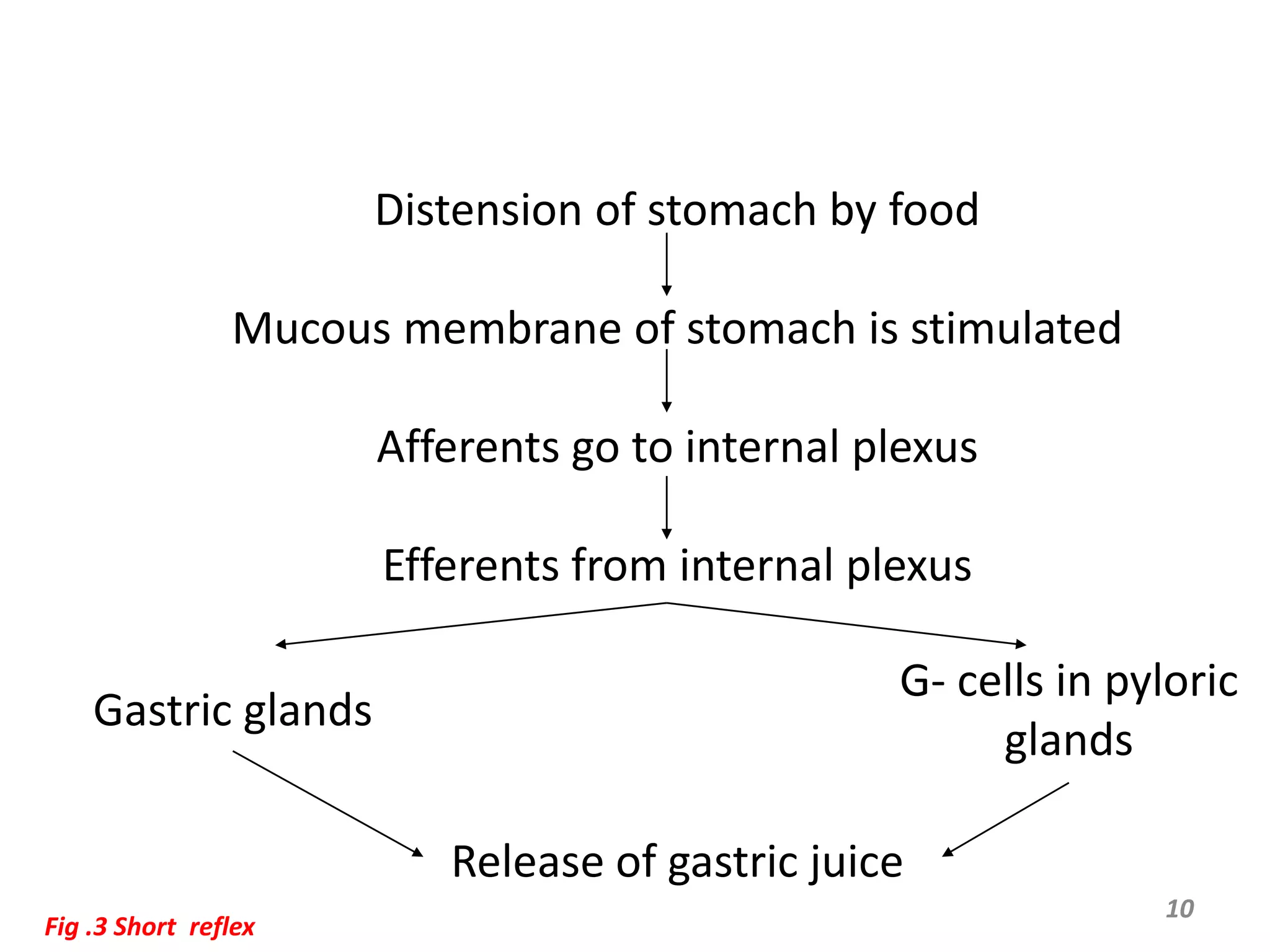 gastro intestinal reflexes | PPTX