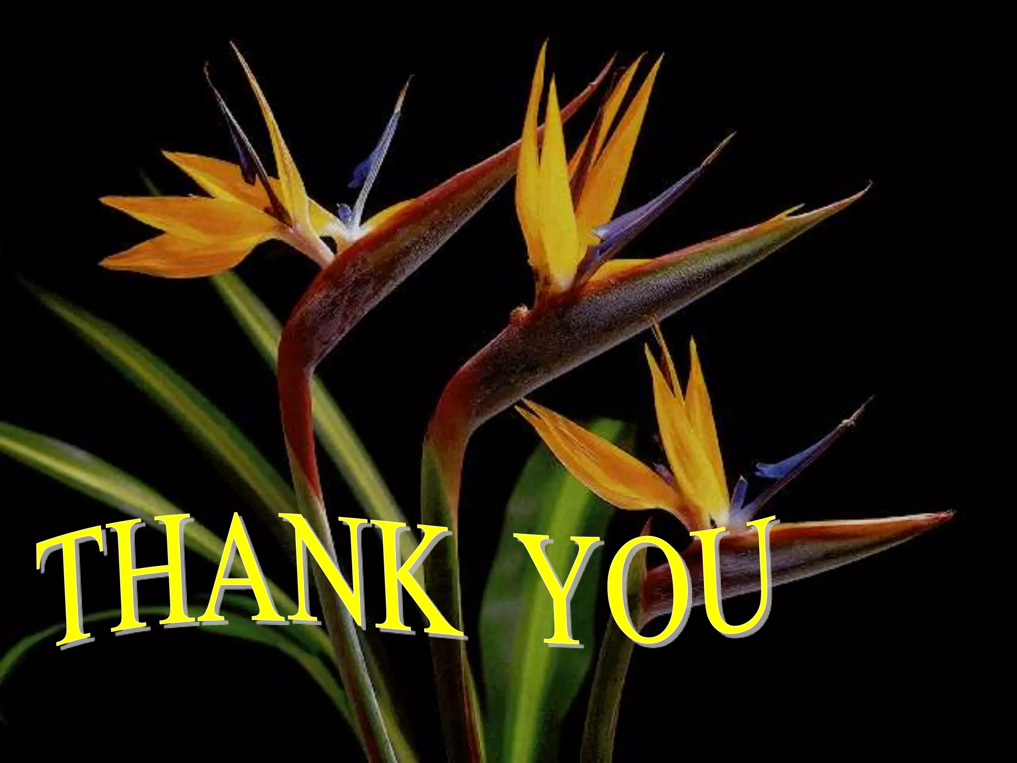 gastro intestinal reflexes | PPTX