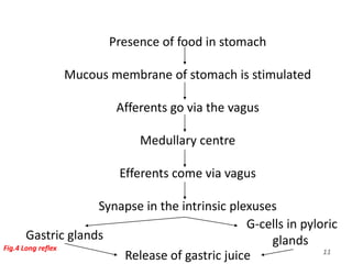 gastro intestinal reflexes | PPTX