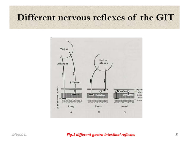 gastro intestinal reflexes | PPTX
