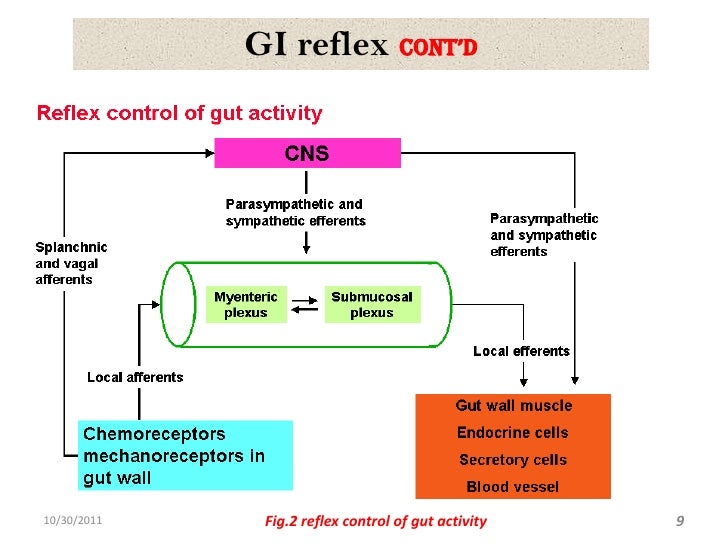gastro intestinal reflexes