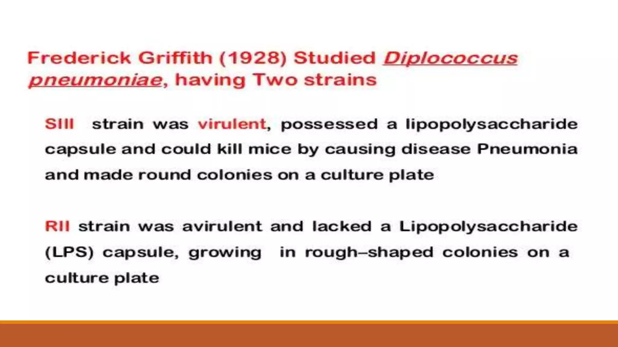 Giriffith experiment (1).pptx