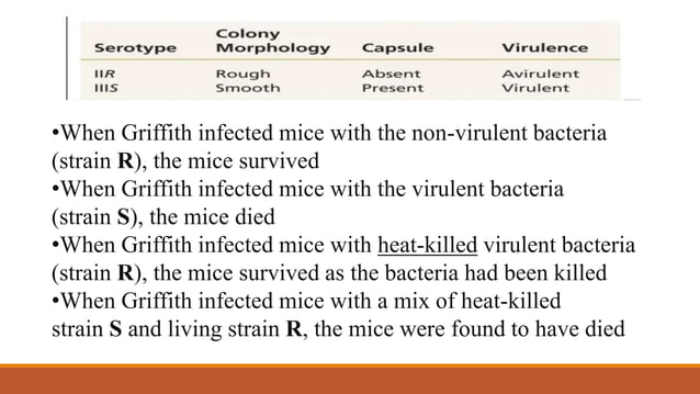Giriffith experiment (1).pptx