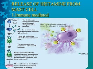 histamine bioassay | PPT