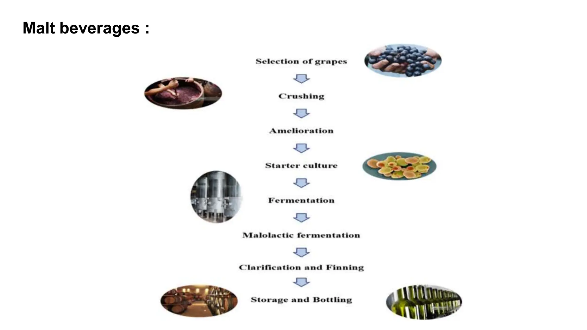 Food fermentation | PPTX