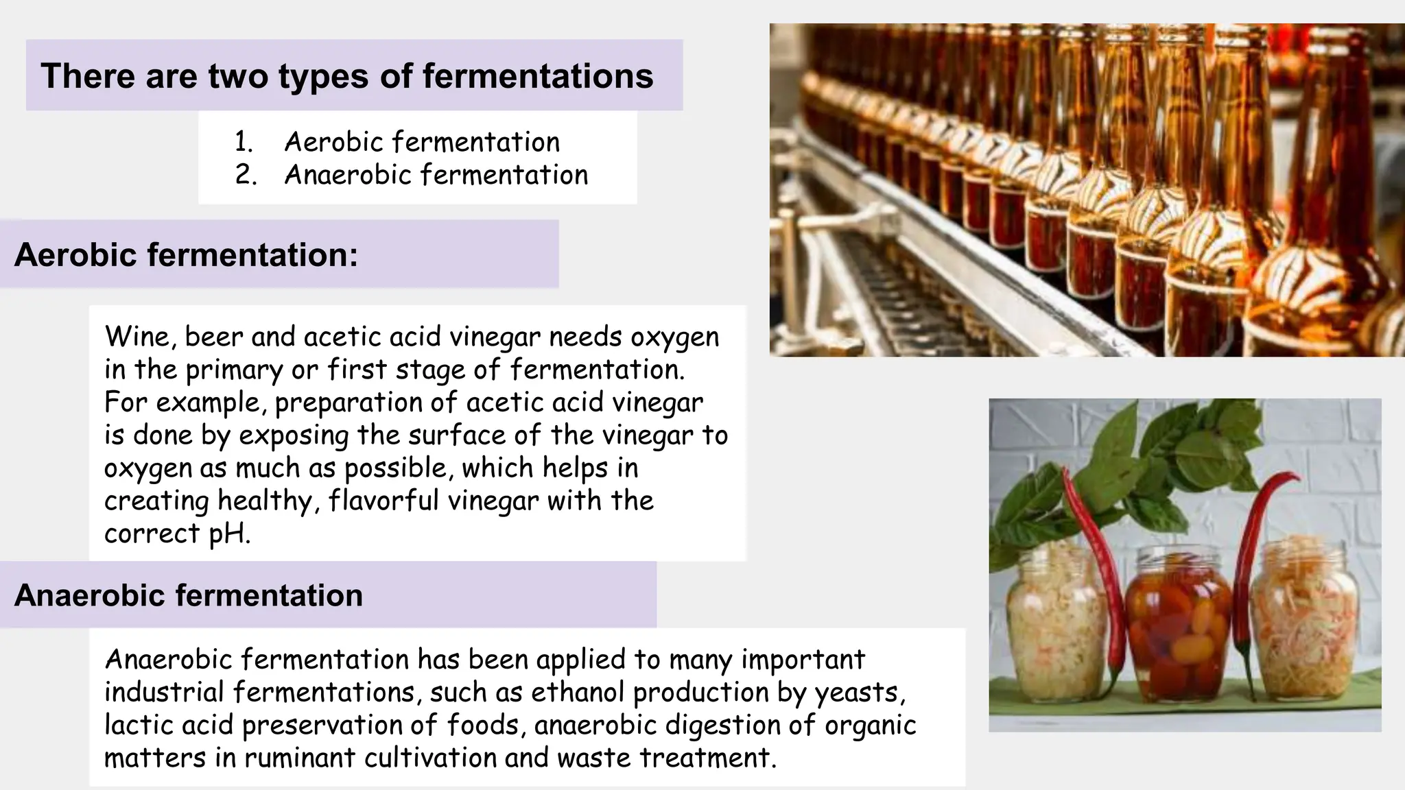 Food fermentation | PPTX
