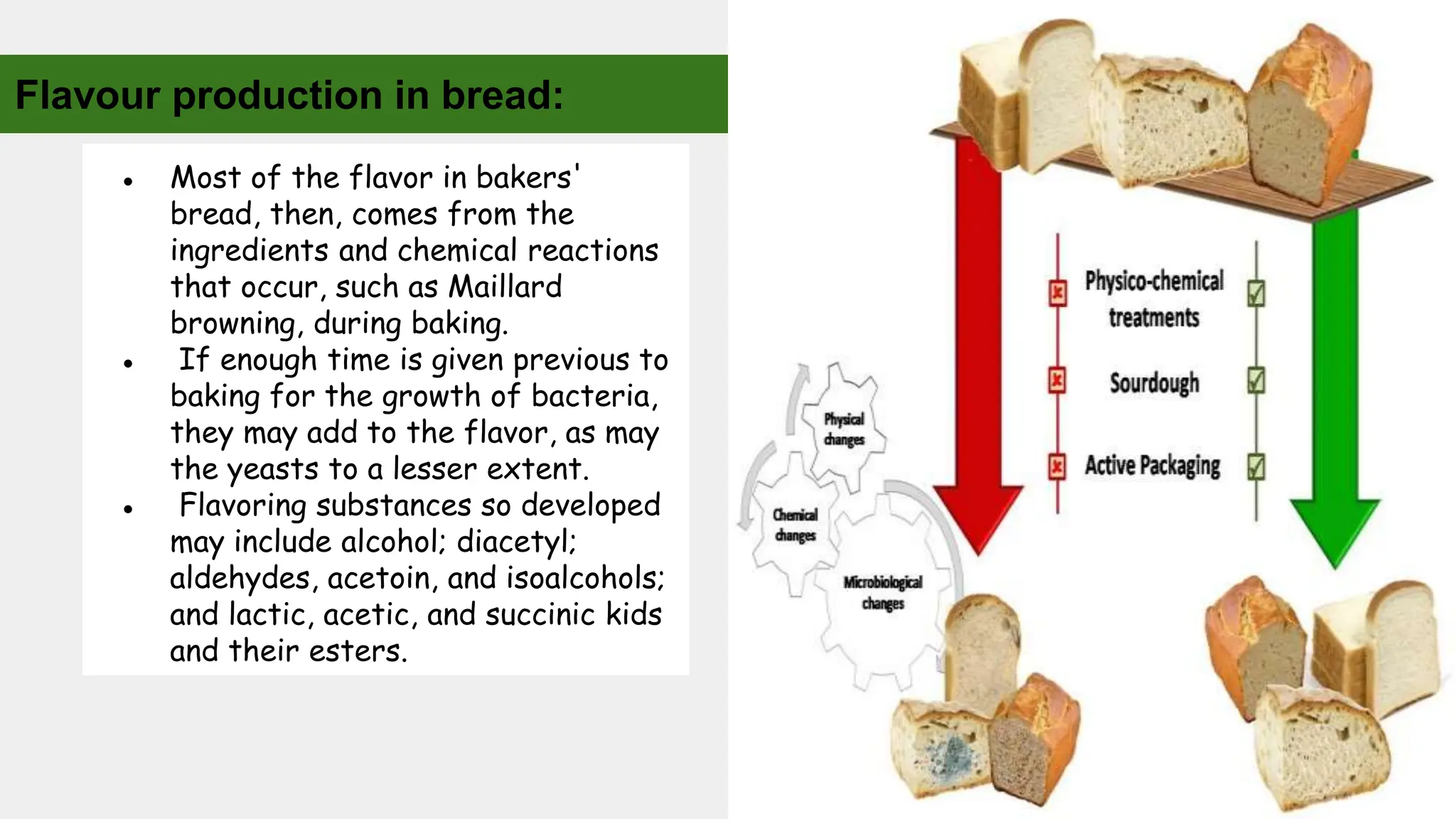Food fermentation | PPTX