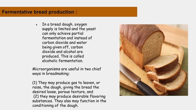 Food fermentation | PPTX