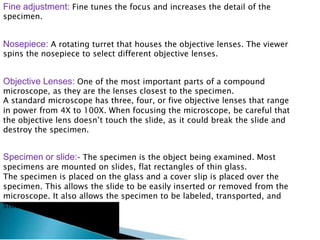 Compound Microscope Specimen Images