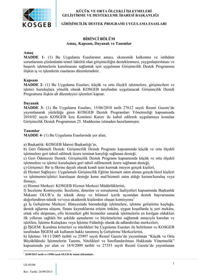 Girisimcilik Uygulama Esasları | PDF