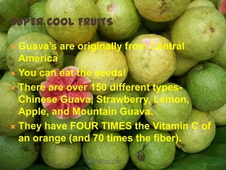 First Garden Workshop- Fruits | PPT