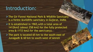 Gir national park | PPTX