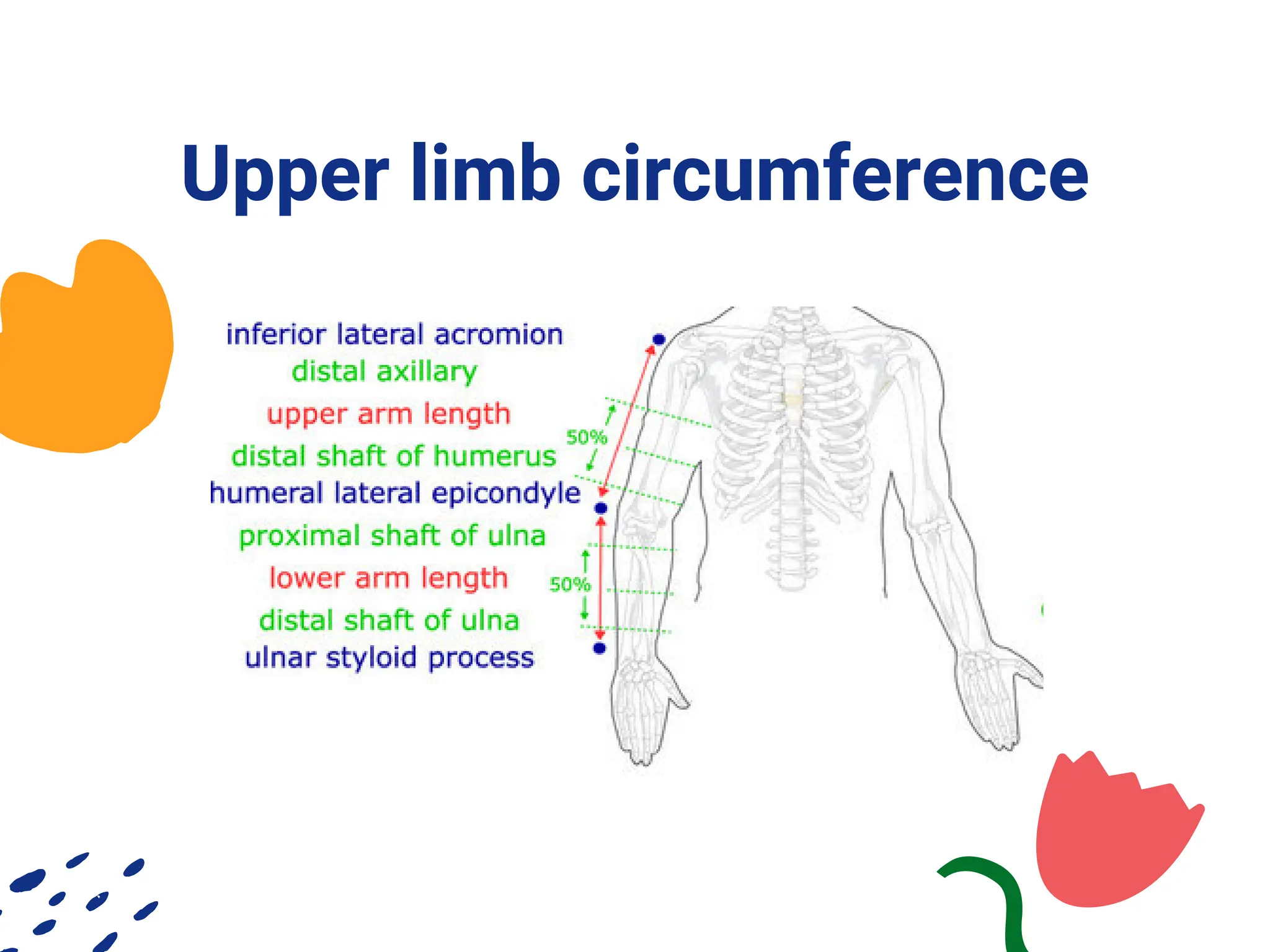 Girth measurement By Dr. Sachi mevada (Masters in Physiotherapy of ...