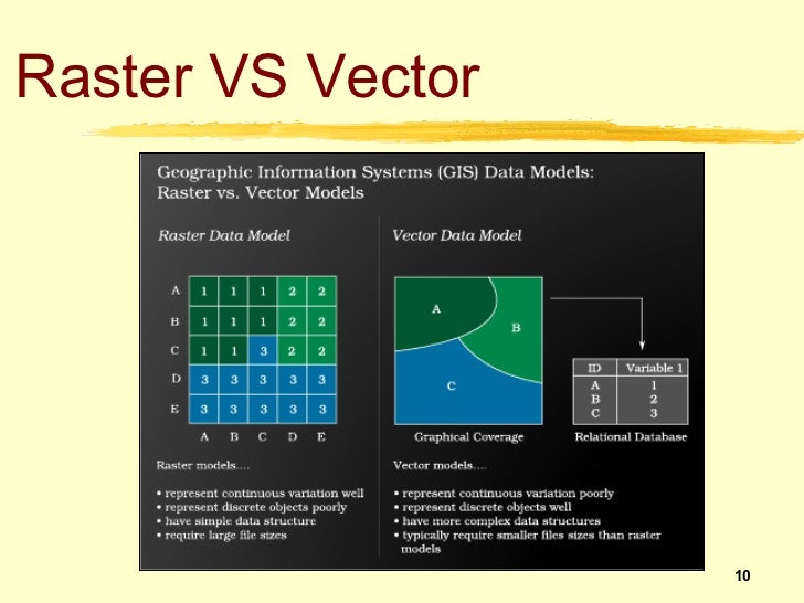 Which holds more data raster or vector gis - nibhtrate