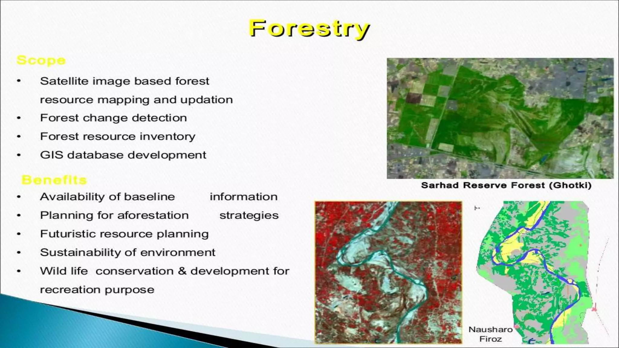 GIS & RS in Forest Mapping | PPTX