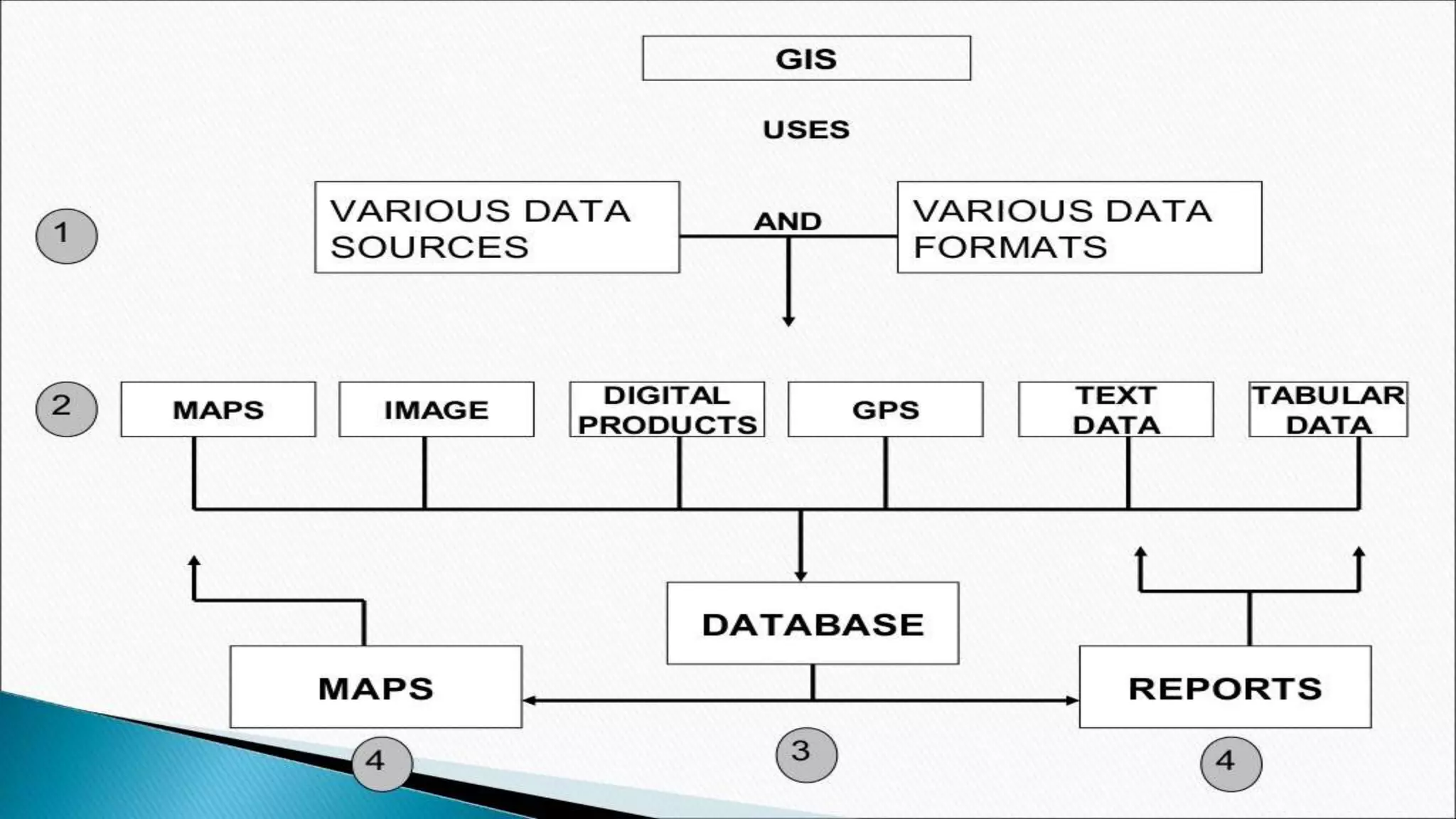 GIS & RS in Forest Mapping | PPTX