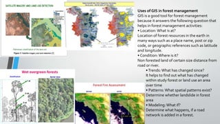 GIS & RS in Forest Mapping | PPTX