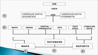 Gis Rs In Forest Mapping Pptx