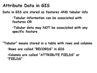 GIS-Chap4-Lecture.ppt