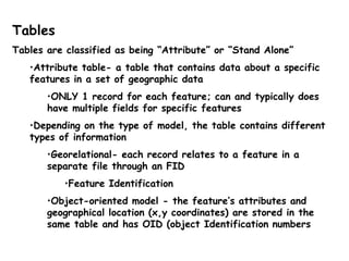 GIS-Chap4-Lecture.ppt