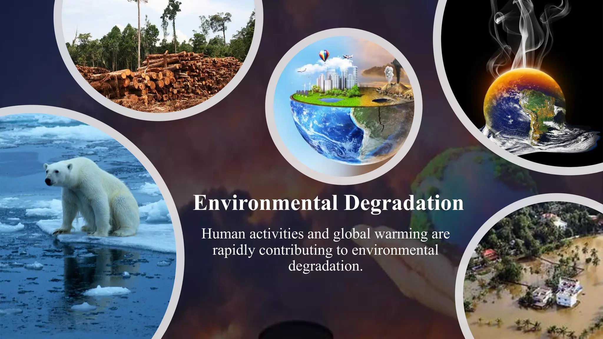 GIS & Conservation | PDF