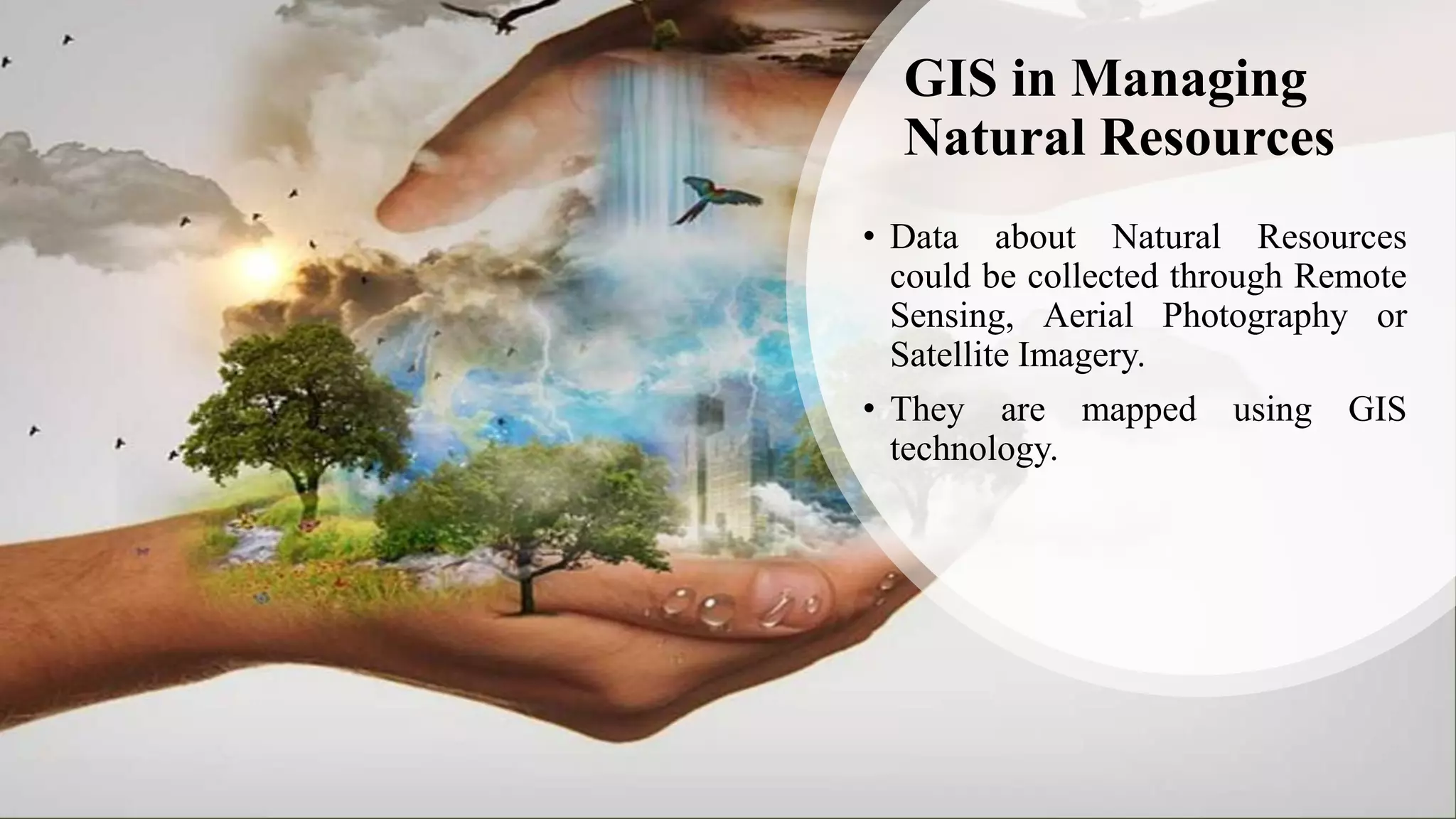 GIS & Conservation | PDF