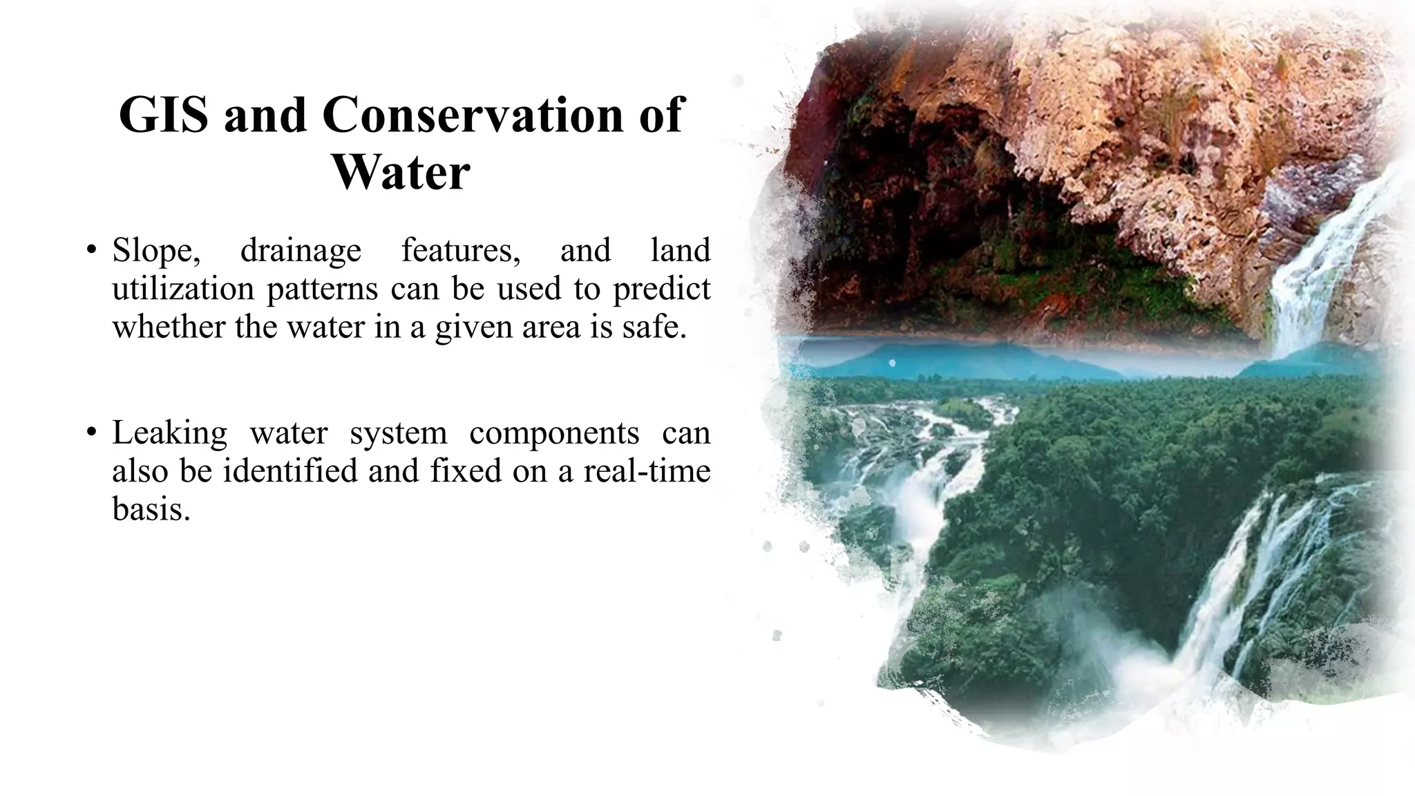 GIS & Conservation | PDF