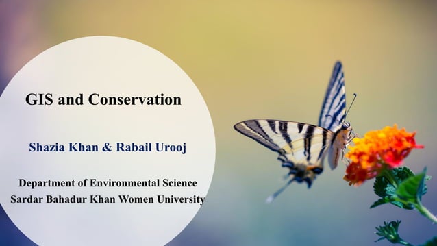 GIS & Conservation | PDF